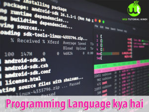 प्रोग्रामिंग भाषा क्या है | Programming Language kya hai - Web Tutorial Hindi